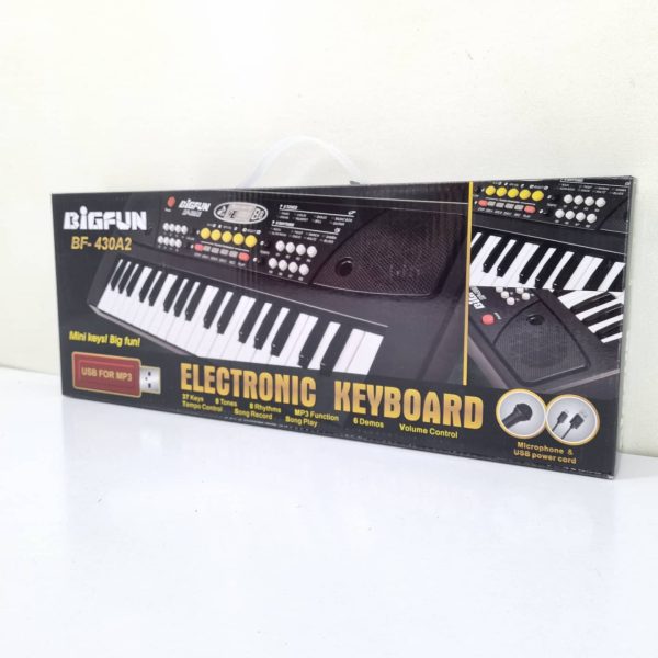 قیمت و خرید ارگ بیگ فان مدل BF-430A2