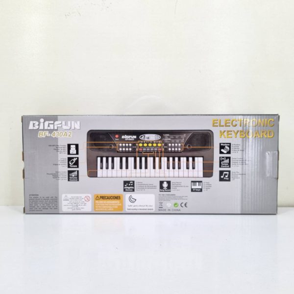 قیمت و خرید ارگ بیگ فان مدل BF-430A2