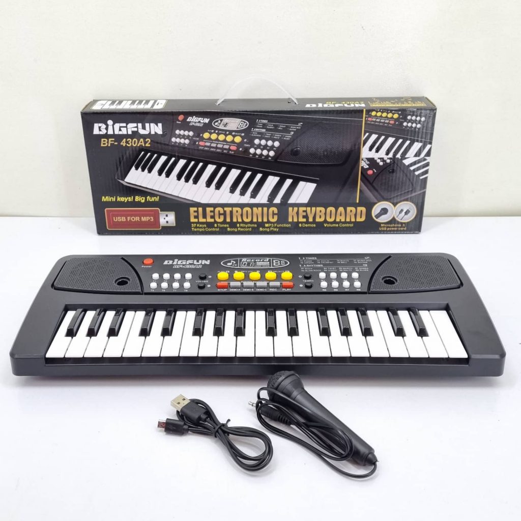 قیمت و خرید ارگ بیگ فان مدل BF-430A2