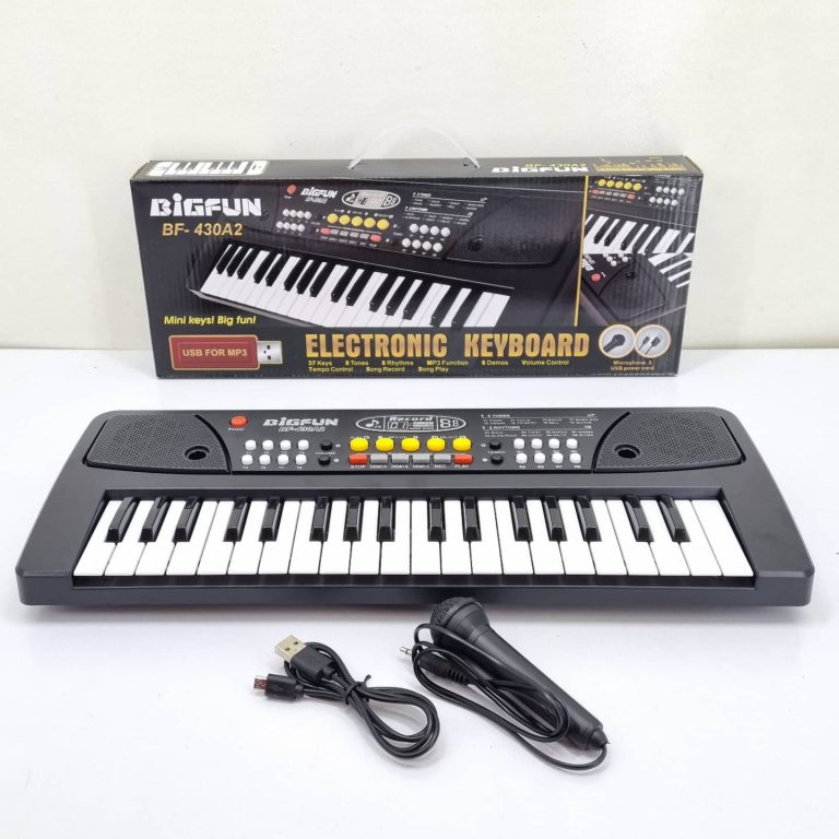 قیمت و خرید ارگ بیگ فان مدل BF-430A2